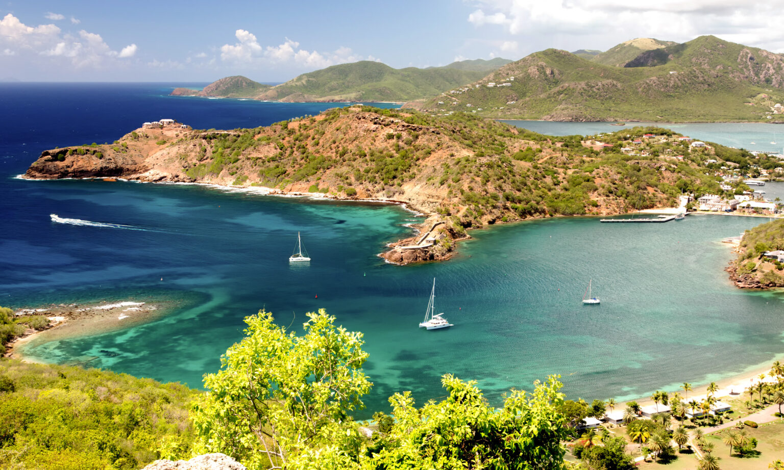 Organization of Eastern Caribbean States Opposition Backs CIP